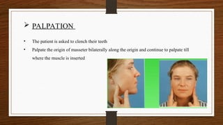 MUSCLES OF MASTICATION AND VARIOUS MUSCLE DISORDERS.ppt