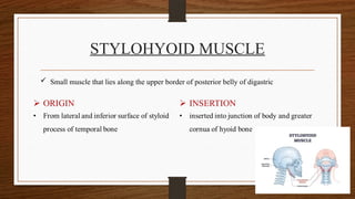 MUSCLES OF MASTICATION AND VARIOUS MUSCLE DISORDERS.ppt