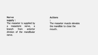 Muscles of Mastication. primary and accessory pptx | PPTX