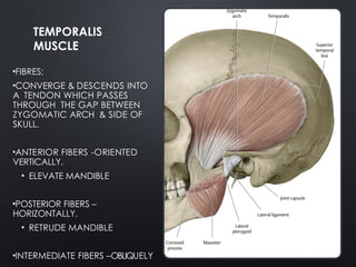 MUSCLES OF MASTICATION .pptx presentation | PPTX