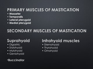 MUSCLES OF MASTICATION .pptx presentation | PPTX
