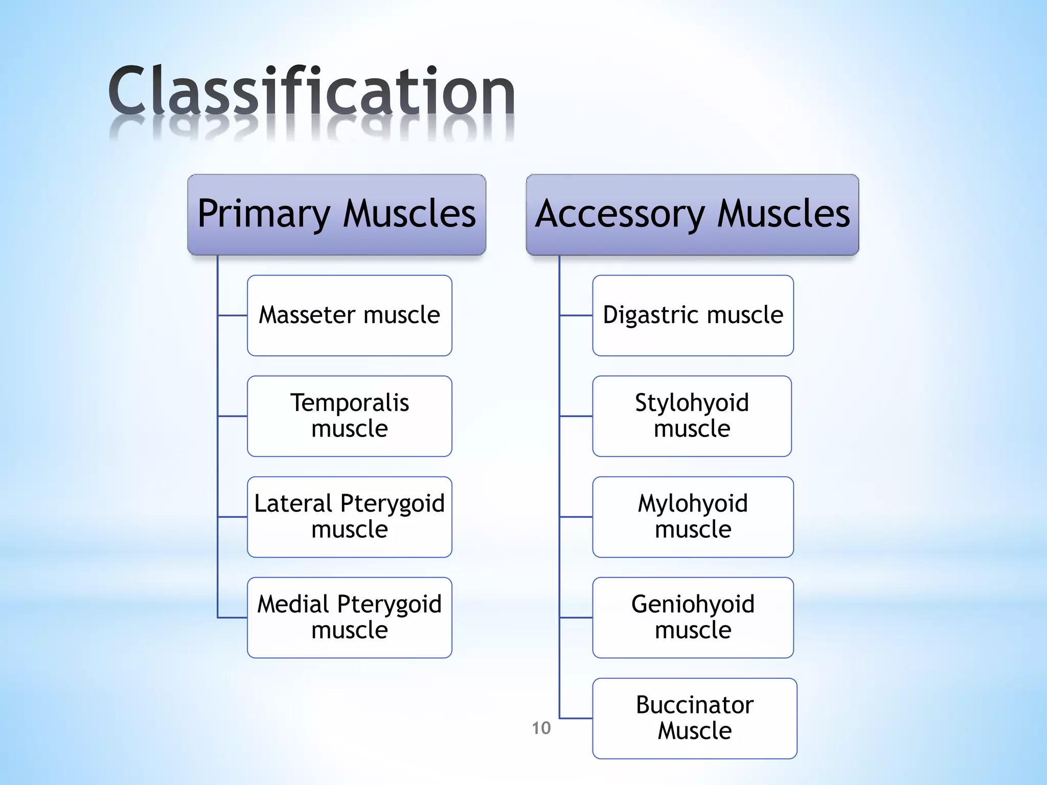 Muscles of mastication- Dr. Pankti Shah (PART I MDS) | PPTX