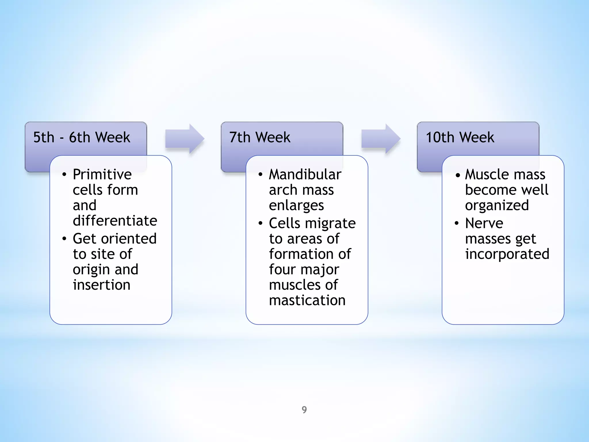 Muscles of mastication- Dr. Pankti Shah (PART I MDS) | PPTX