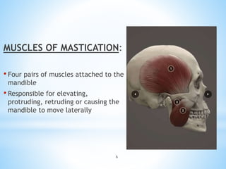 Muscles of mastication- Dr. Pankti Shah (PART I MDS) | PPTX