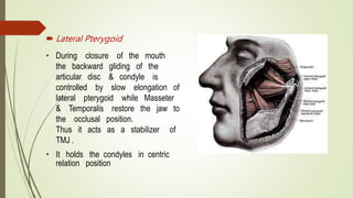 Muscles of mastication prosthodontic consideration | PPTX