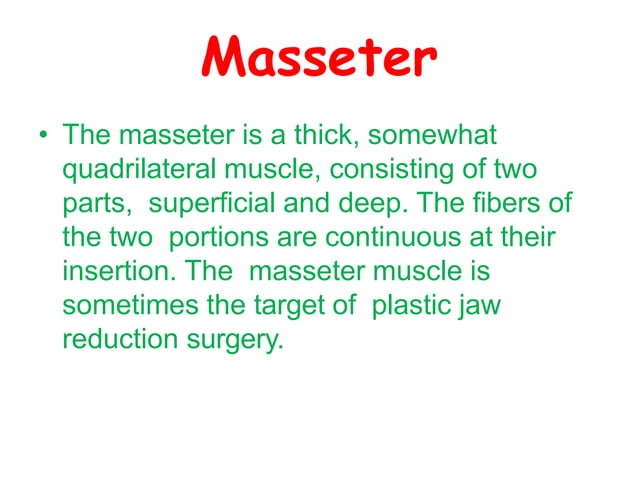 muscles of mastication 1.pptx | Dental Health | Diseases and Conditions
