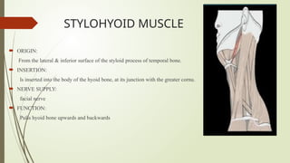 muscles of mastication contraction produced | PPTX