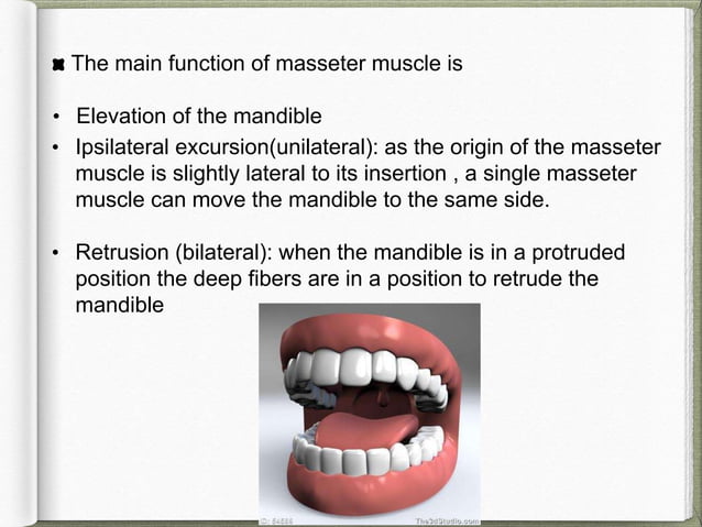 Muscles of mastication 1:10:19 | PPTX