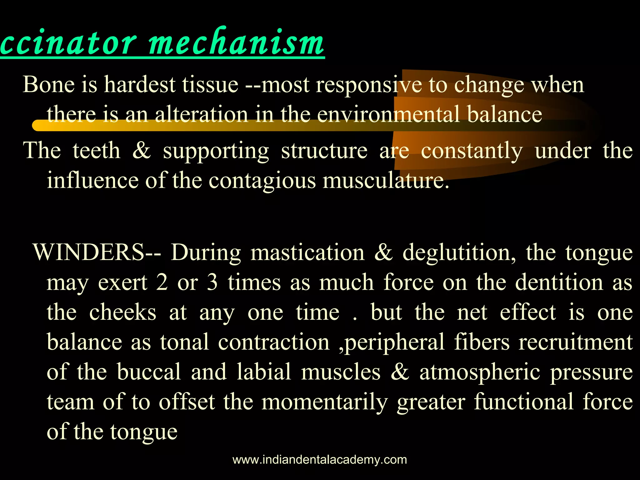 Muscles of mastication 3 | PPT