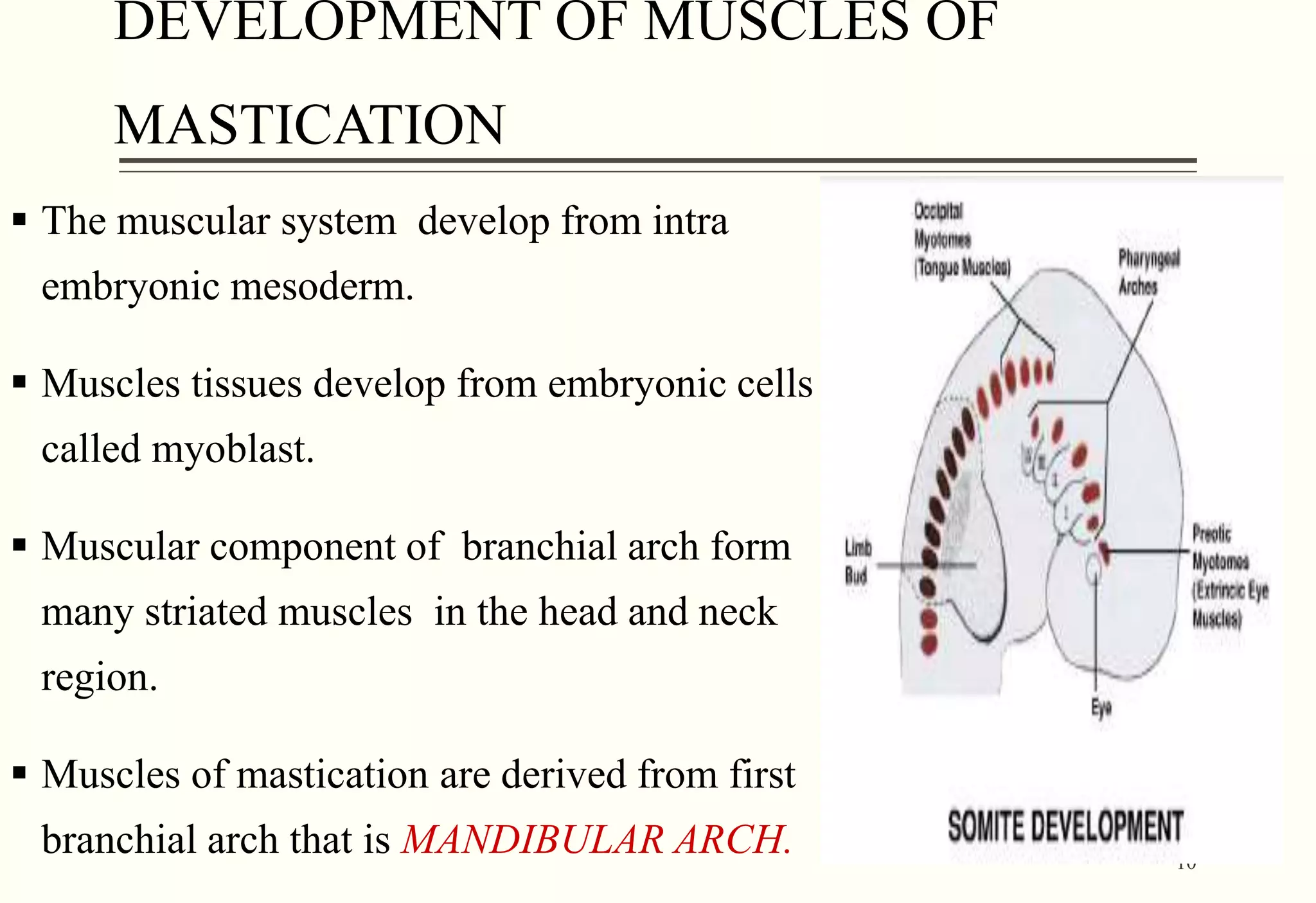 Muscles of mastication and facial expression. | PPTX