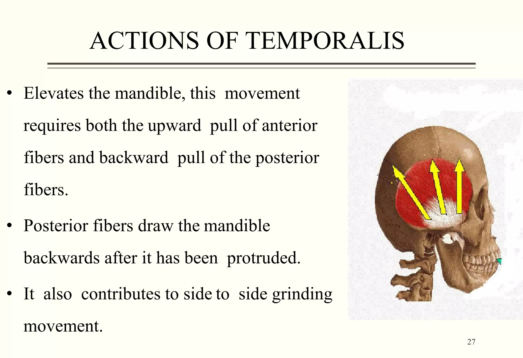 Muscles of mastication and facial expression. | PPTX