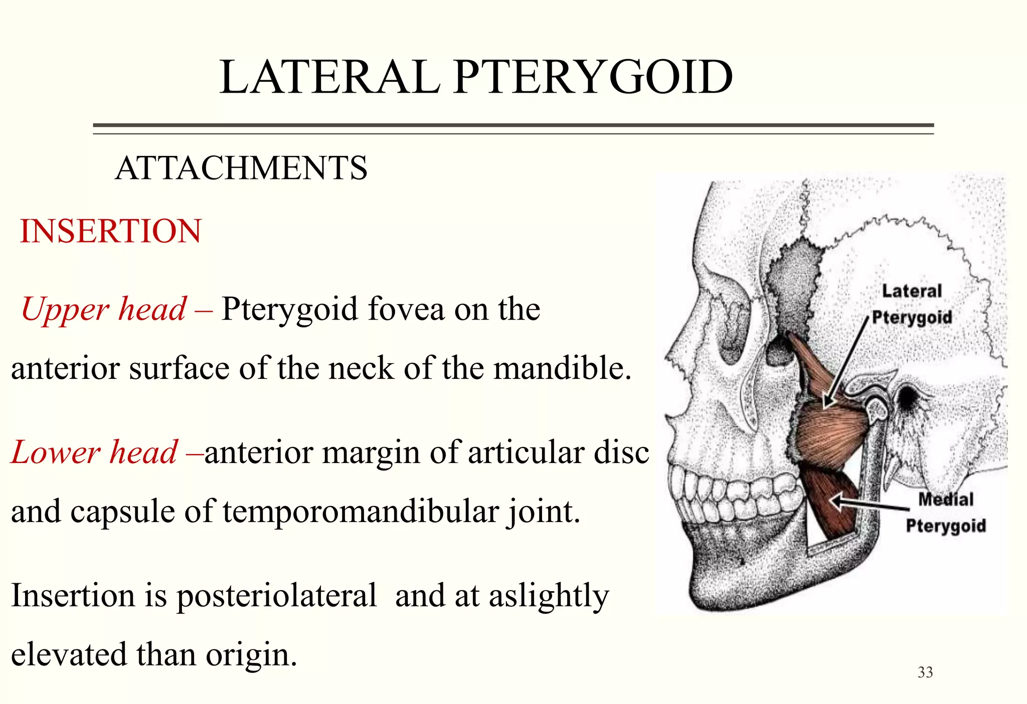 Muscles of mastication and facial expression. | PPTX