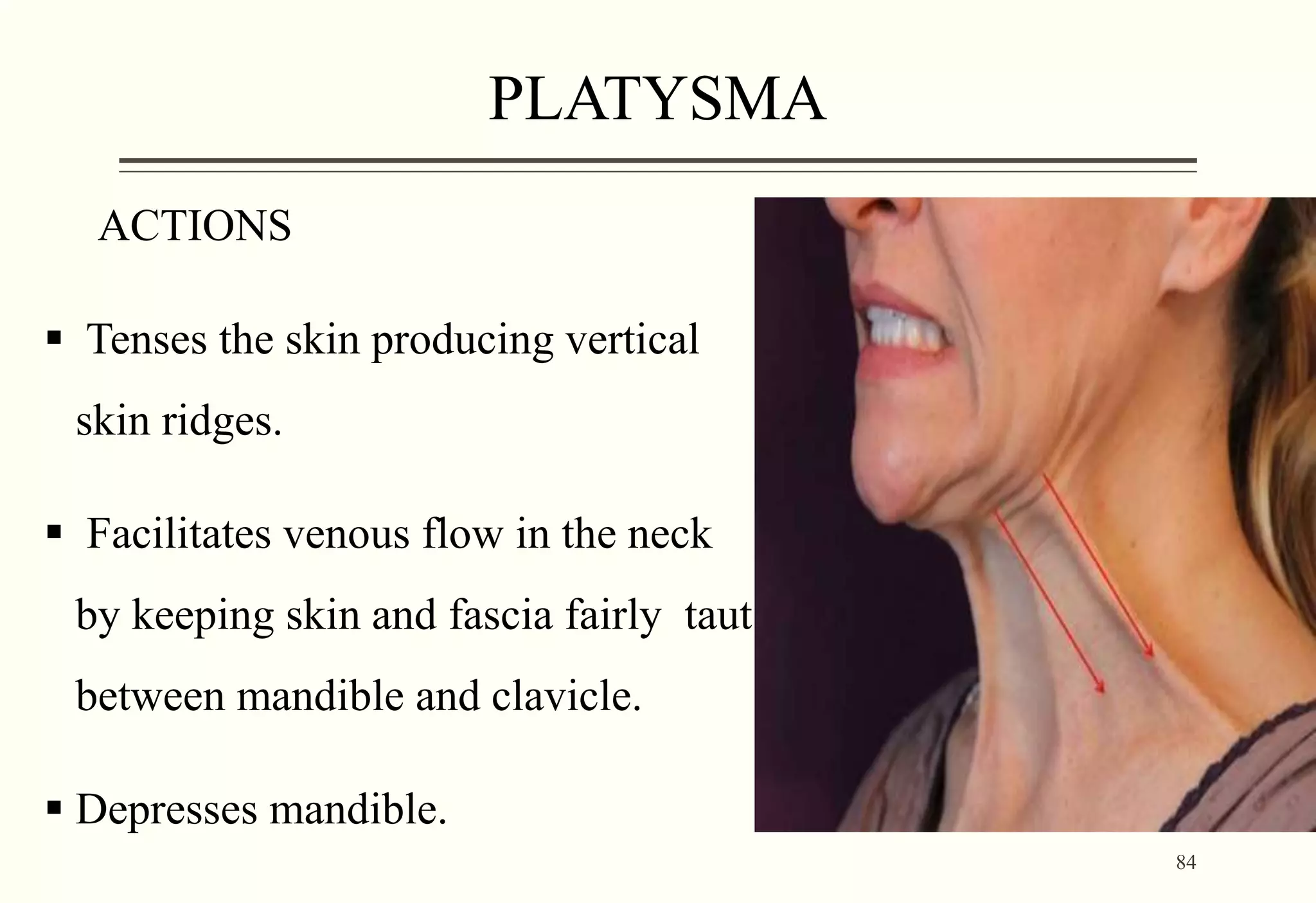 Muscles of mastication and facial expression. | PPTX