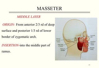 Muscles of mastication and facial expression. | PPTX