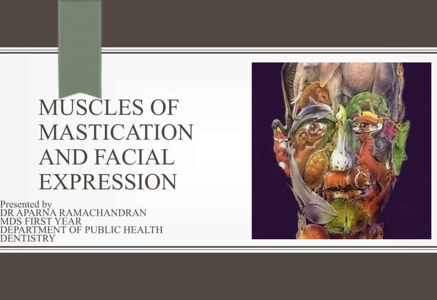 Muscles of mastication and facial expression. | PPTX | Dental Health ...