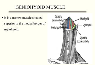 Muscles of mastication and facial expression. | PPTX