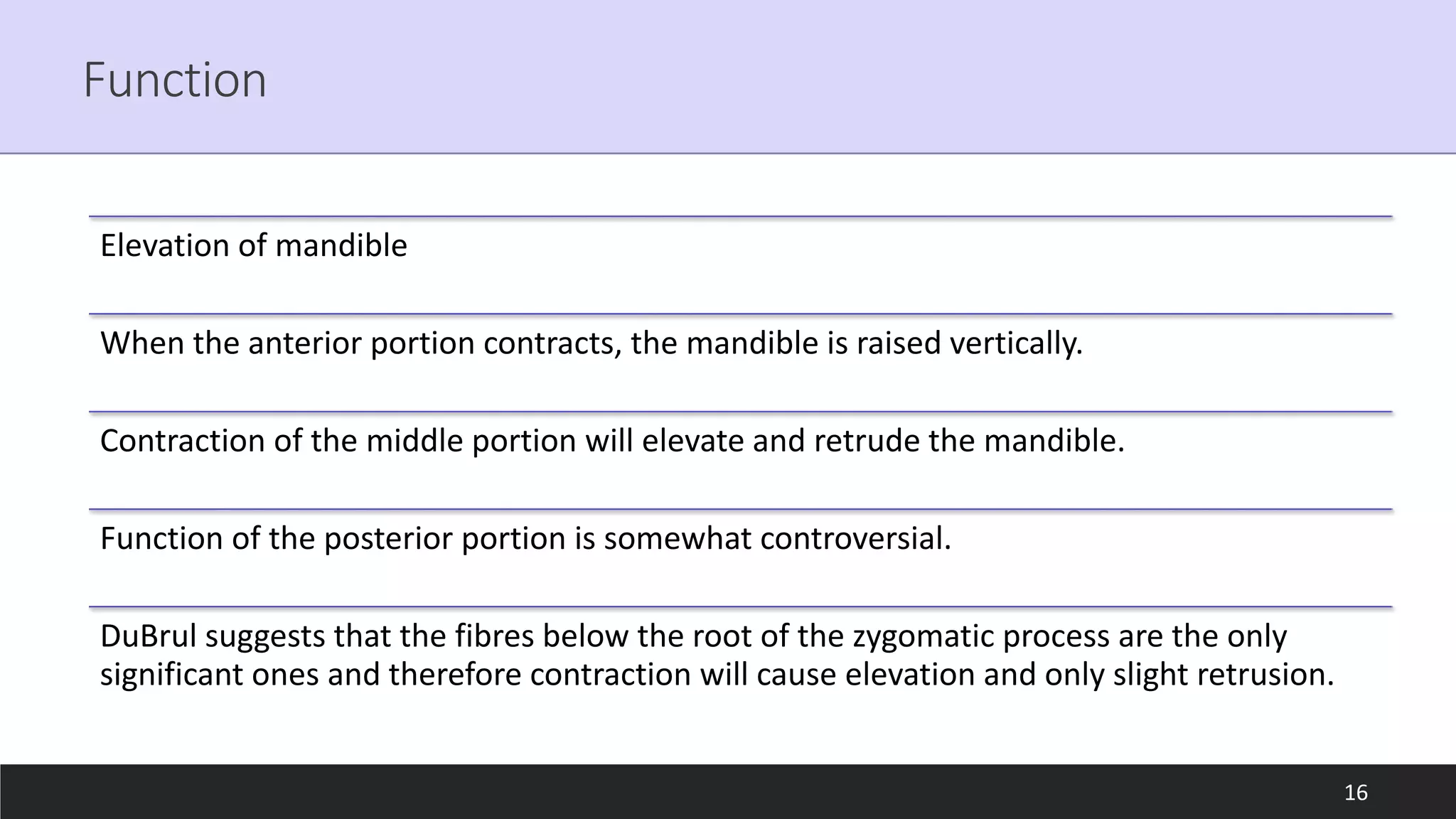 Muscles of mastication and its importance in complete | PPT