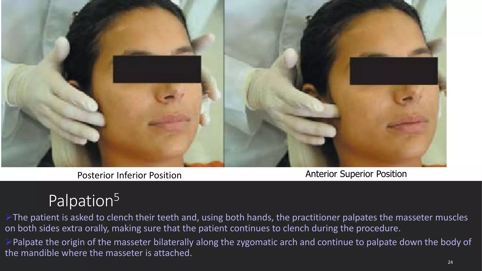 Muscles of mastication and its importance in complete | PPT