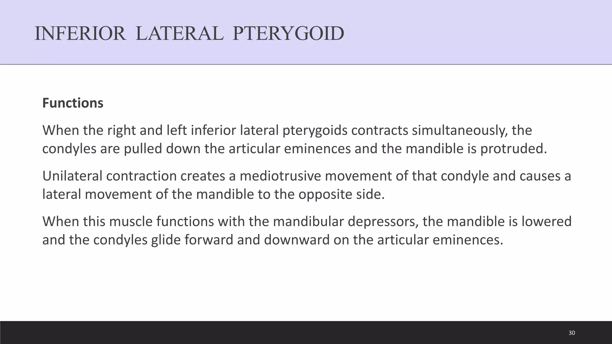 Muscles of mastication and its importance in complete | PPT