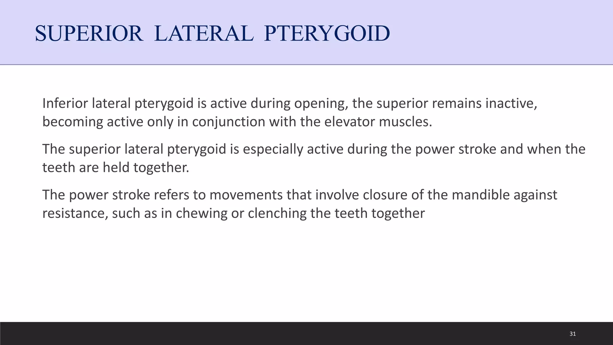 Muscles of mastication and its importance in complete | PPT