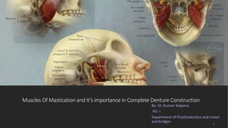 Muscles of mastication and its importance in complete | PPT