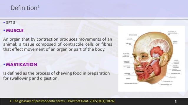 Muscles of mastication and its importance in complete | PPT