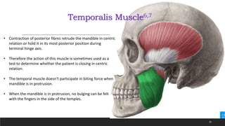 Muscles of mastication and its importance in complete | PPT
