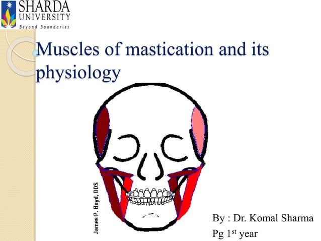 Muscles of mastication and its physiology | PPTX | Dental Health ...