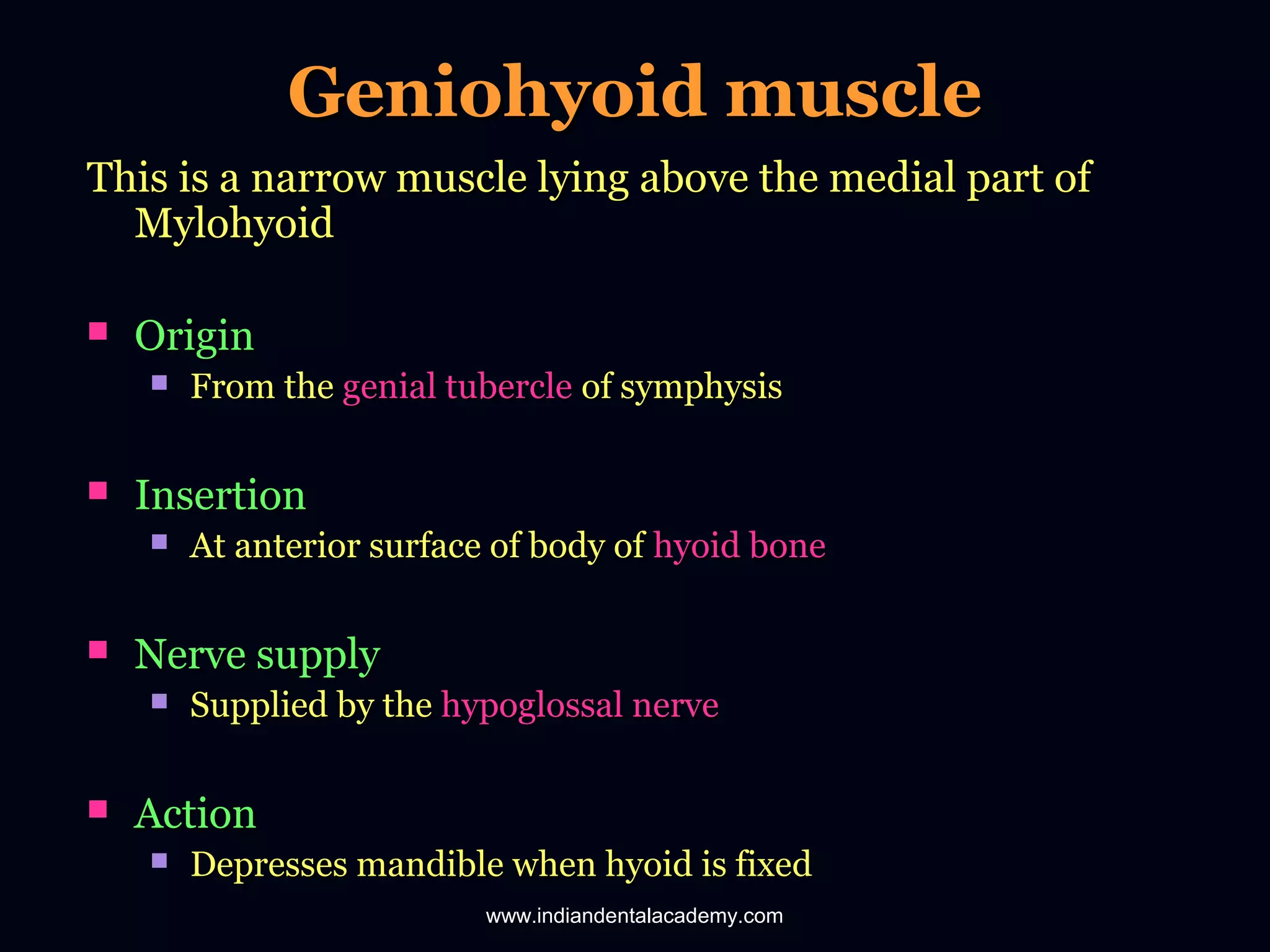 Muscles of mastication/prosthodontic courses | PPT