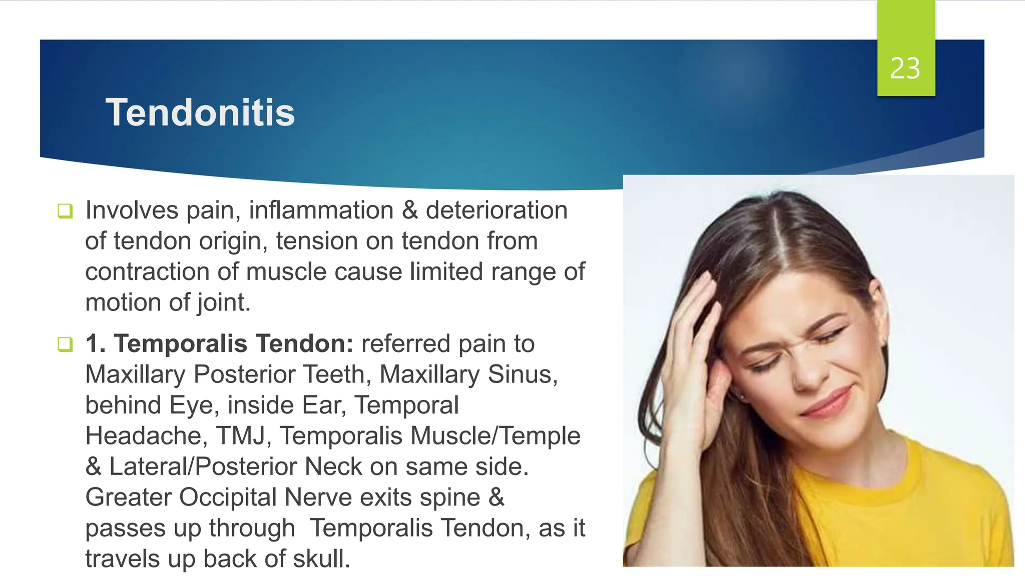 Muscles of Mastication by Dr. Rabia Inam Gandapore.pptx