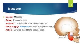 Muscles of Mastication by Dr. Rabia Inam Gandapore.pptx