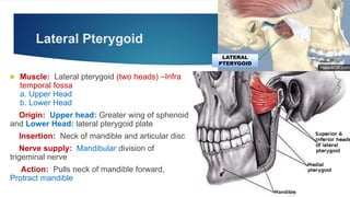Muscles of Mastication by Dr. Rabia Inam Gandapore.pptx