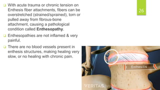 Muscles of Mastication by Dr. Rabia Inam Gandapore.pptx