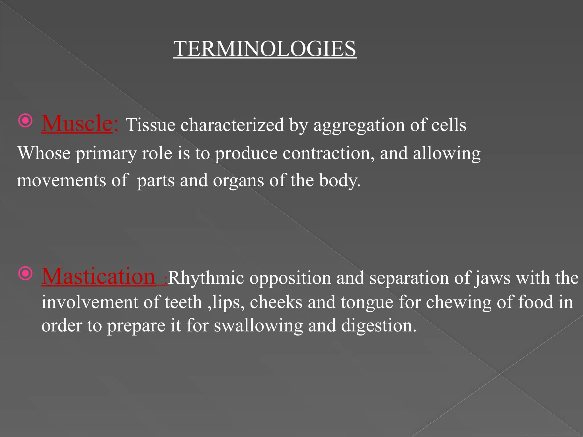 muscles of mastication class.presentation | PPTX