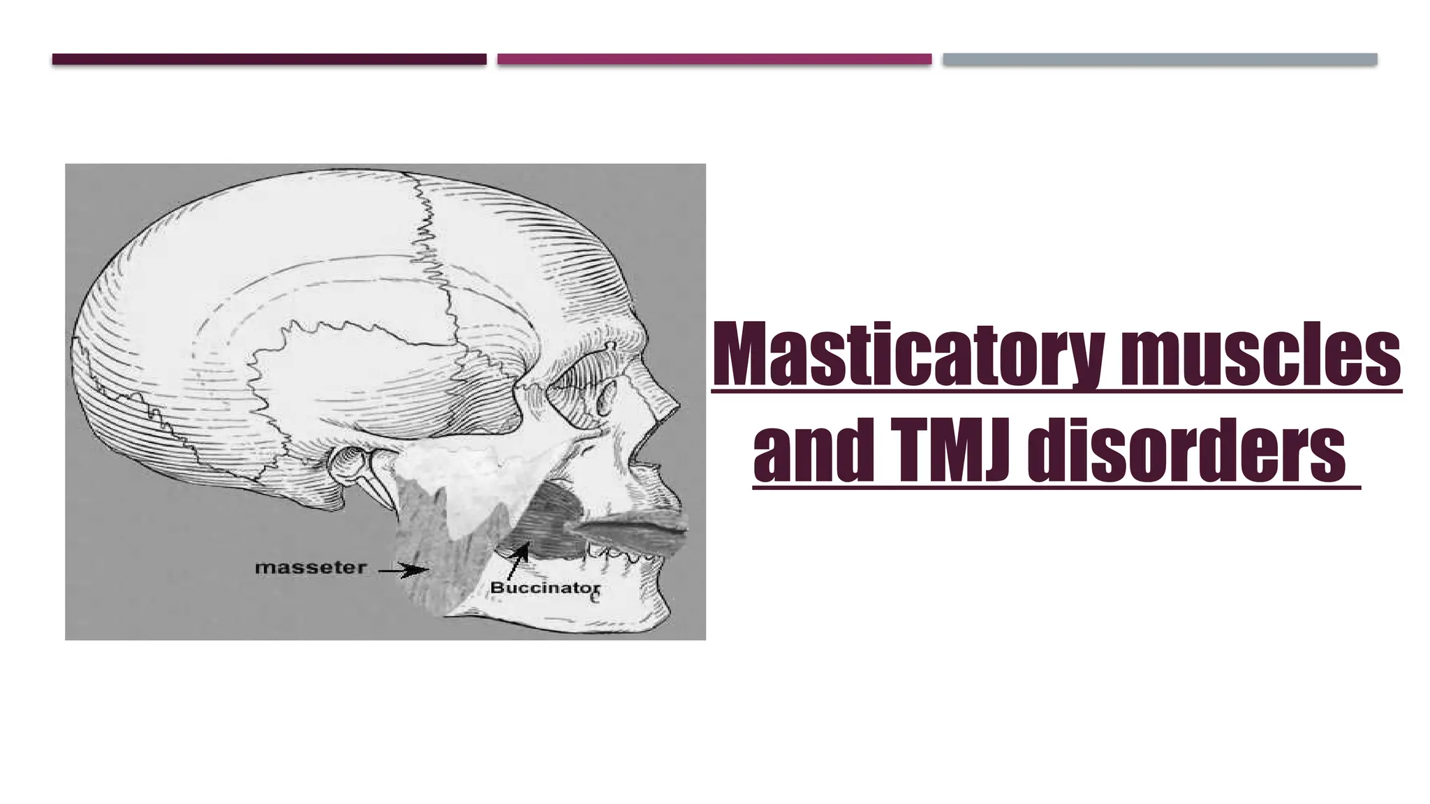 muscles of mastication presentation in relation to oral cavity | PPTX