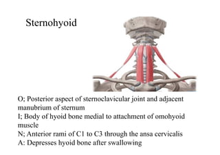 Muscles of mastication | PPT