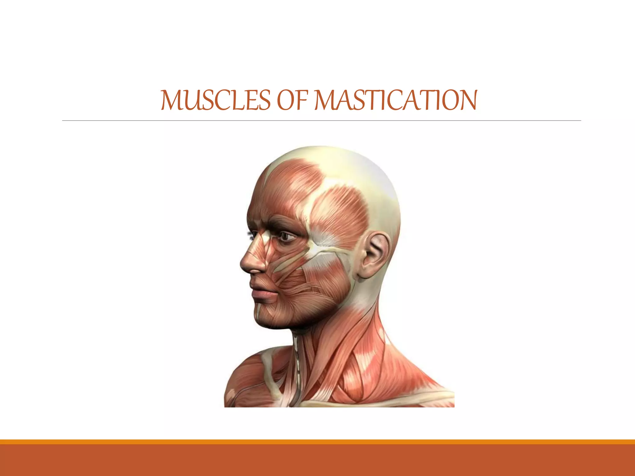 Muscles of Mastication | PPTX
