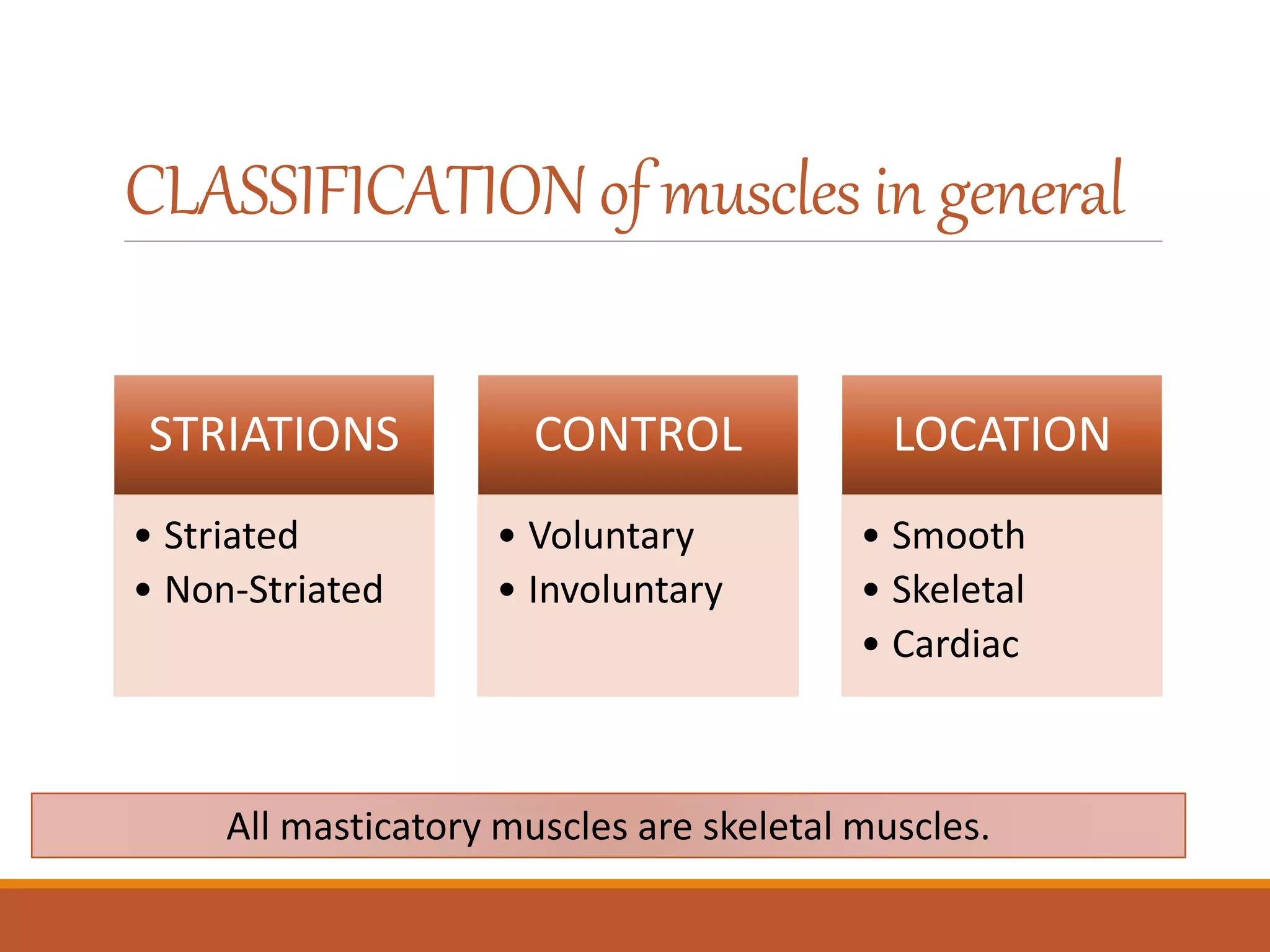 Muscles of Mastication | PPTX