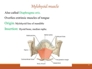 Muscles of Mastication | PPTX