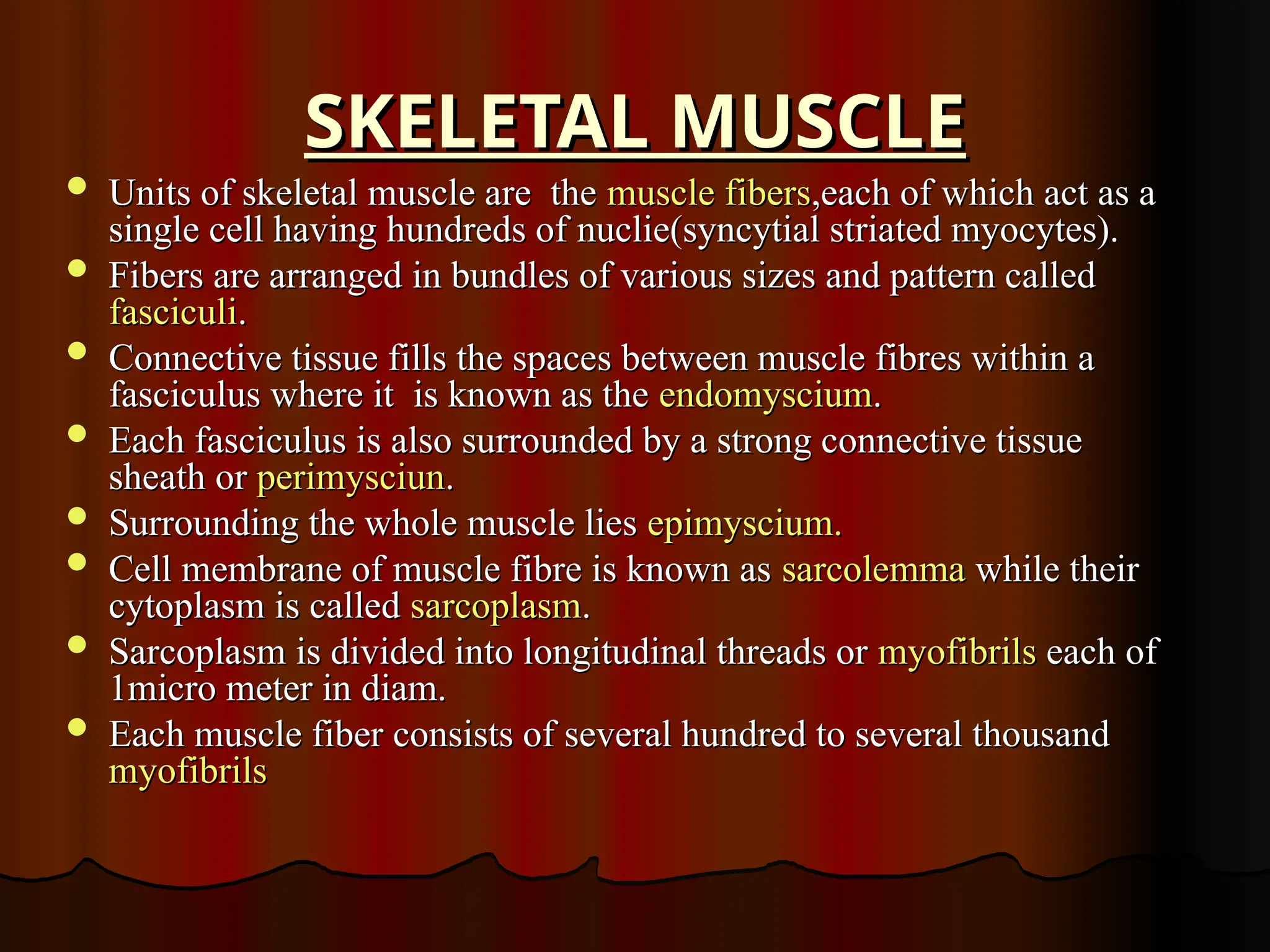 muscles of mastication of jaw and its disorders.ppt