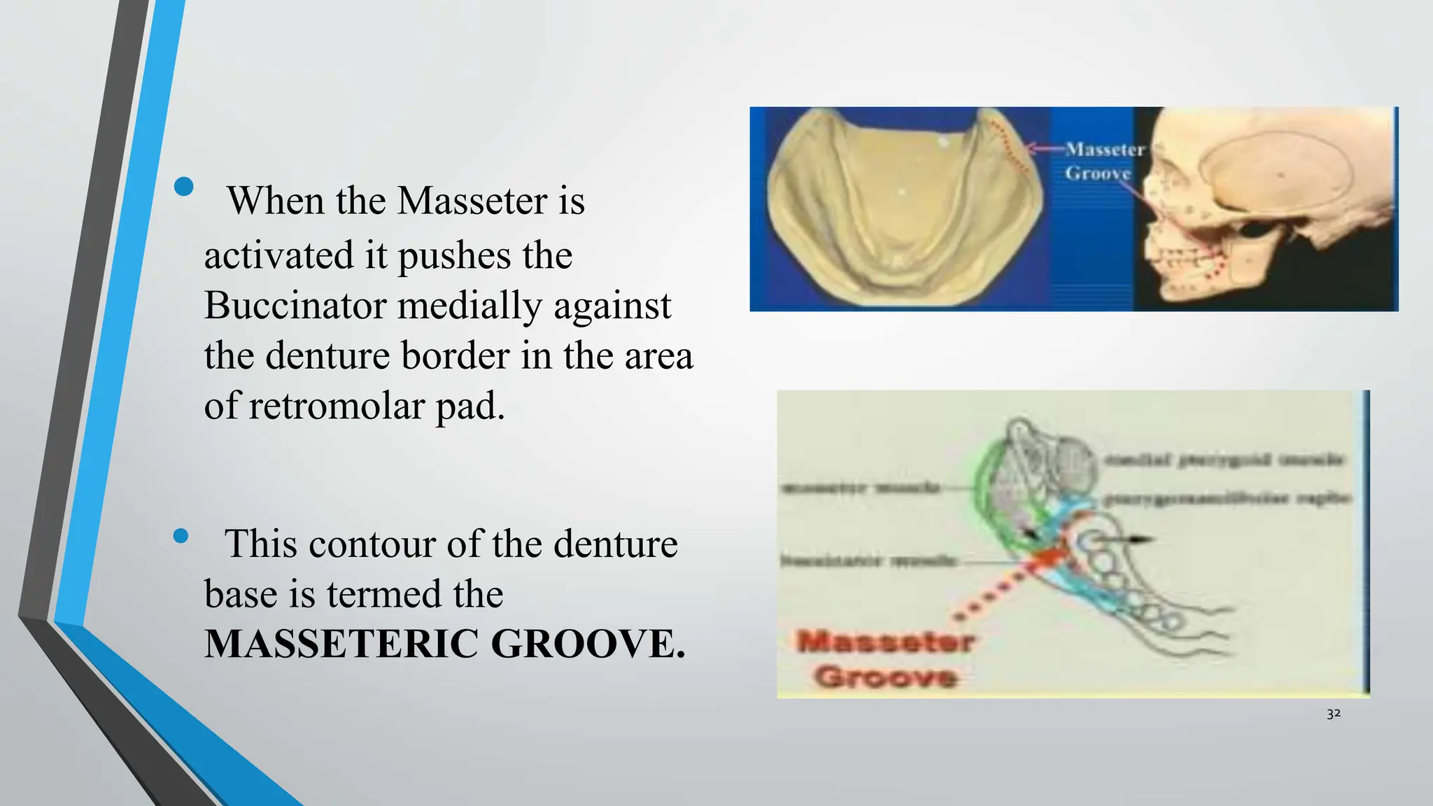 Muscles of mastication FINAL (1).pptx and it's anatomy | PPT