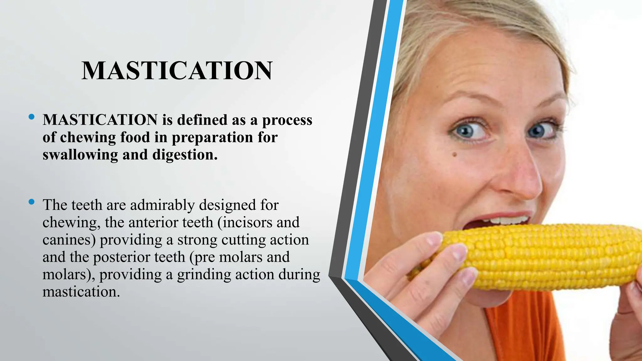 Muscles of mastication FINAL (1).pptx and it's anatomy | PPT