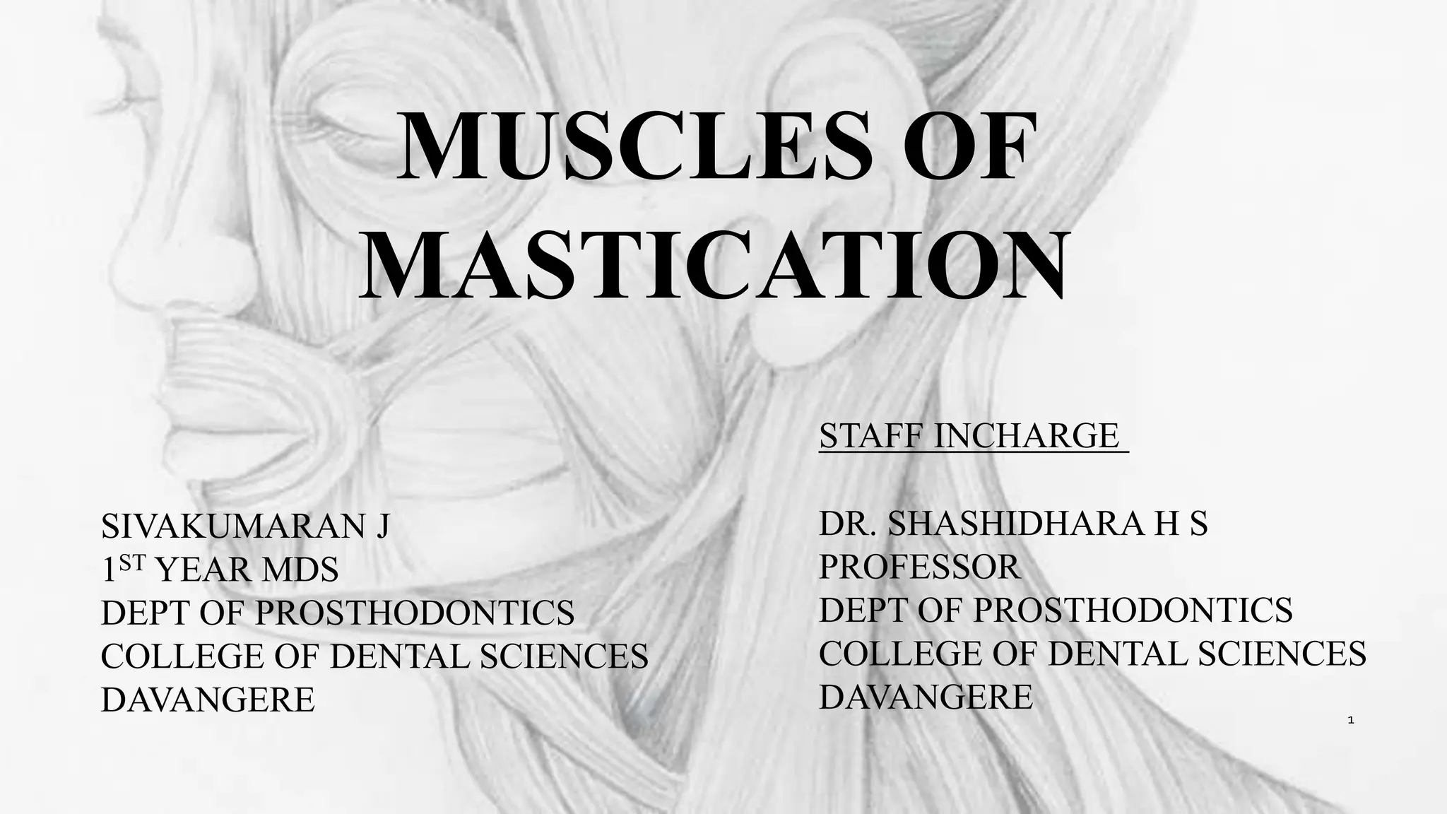 Muscles of mastication FINAL (1).pptx and it's anatomy | PPT