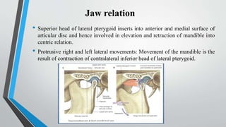 Muscles of mastication FINAL (1).pptx and it's anatomy | PPTX