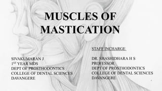 Muscles of mastication FINAL (1).pptx and it's anatomy | PPT
