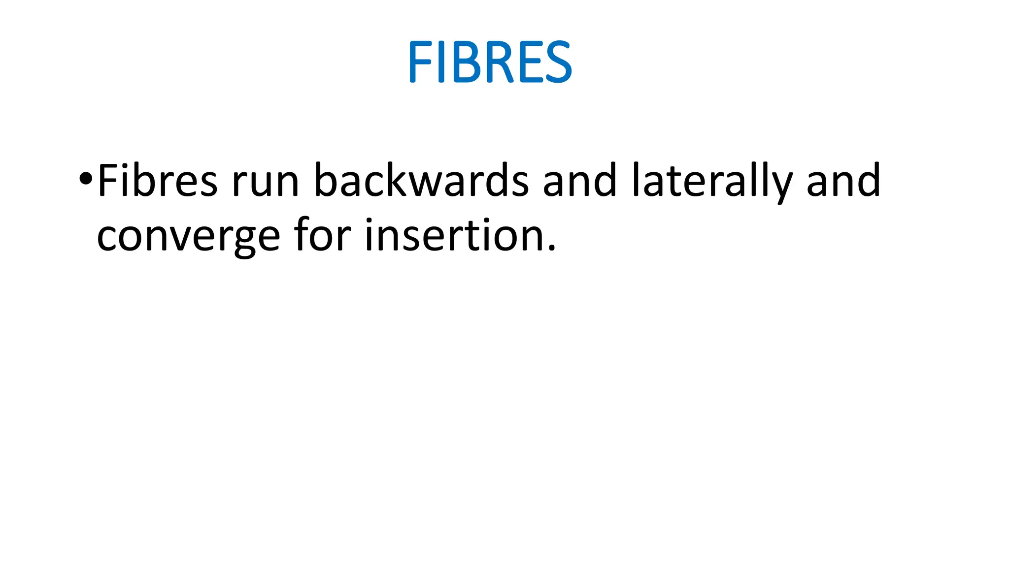 MUSCLES OF MASTICATION and chewing cycle | PPTX | Death, Injury, or ...