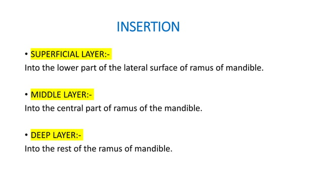 MUSCLES OF MASTICATION and chewing cycle | PPTX | Death, Injury, or ...