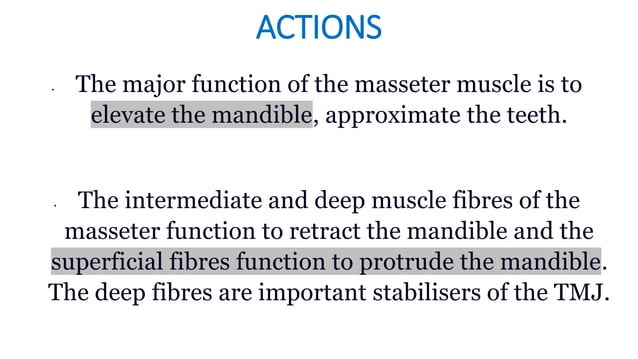 MUSCLES OF MASTICATION and chewing cycle | PPTX | Death, Injury, or ...