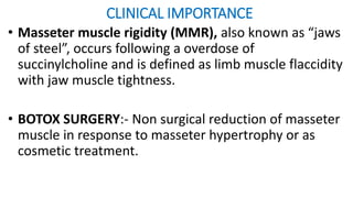 MUSCLES OF MASTICATION and chewing cycle | PPTX