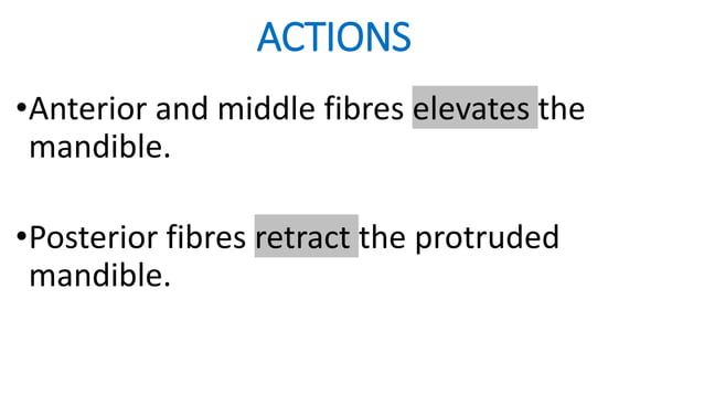 MUSCLES OF MASTICATION and chewing cycle | PPTX | Death, Injury, or ...